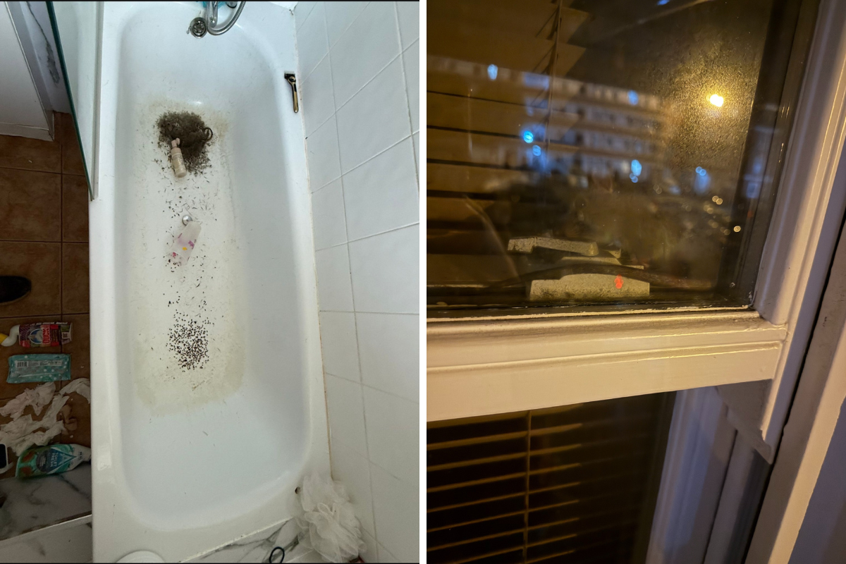 Wavertree mum forced to sleep in car with kids after horrible discovery ...