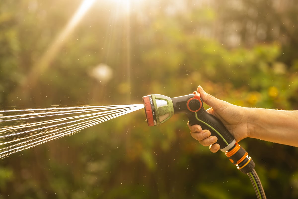Thames Water asks Londoners to stop using hosepipes amid hot weather