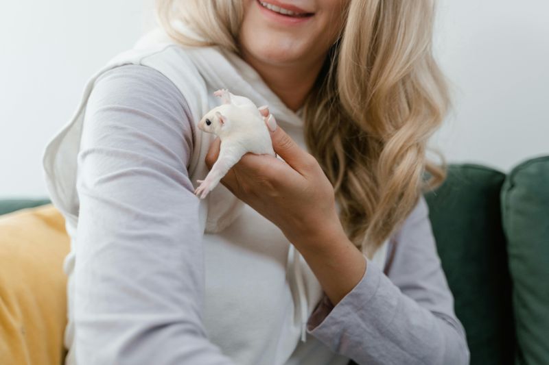 13 Unusual Pets For People Who Play By Their Own Rules