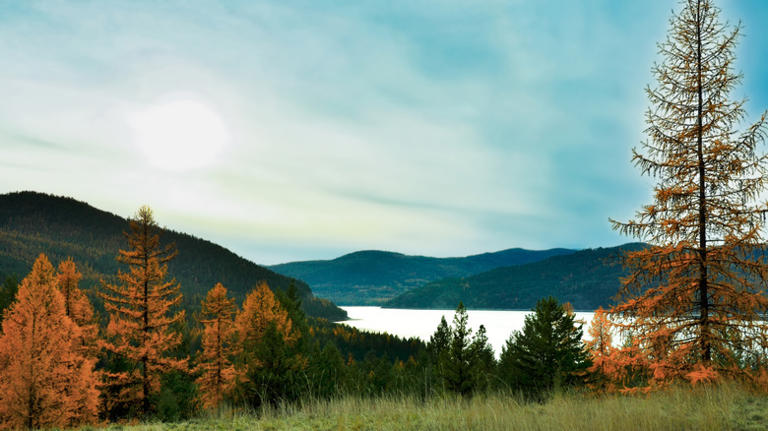 This Charming Montana City Is Surrounded By Forests, Lakes, And Over A ...