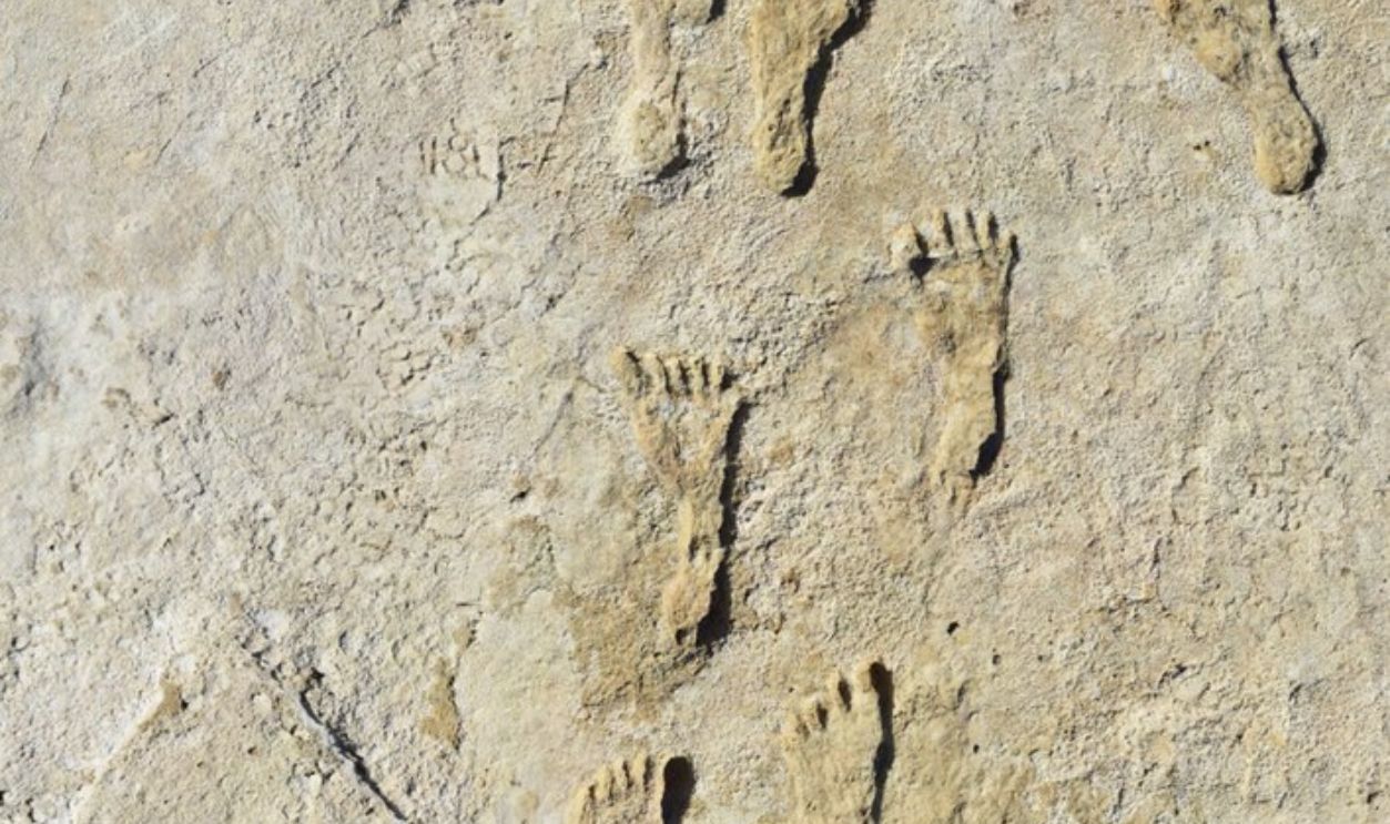When archaeologists found ancient footprints where they thought no ...