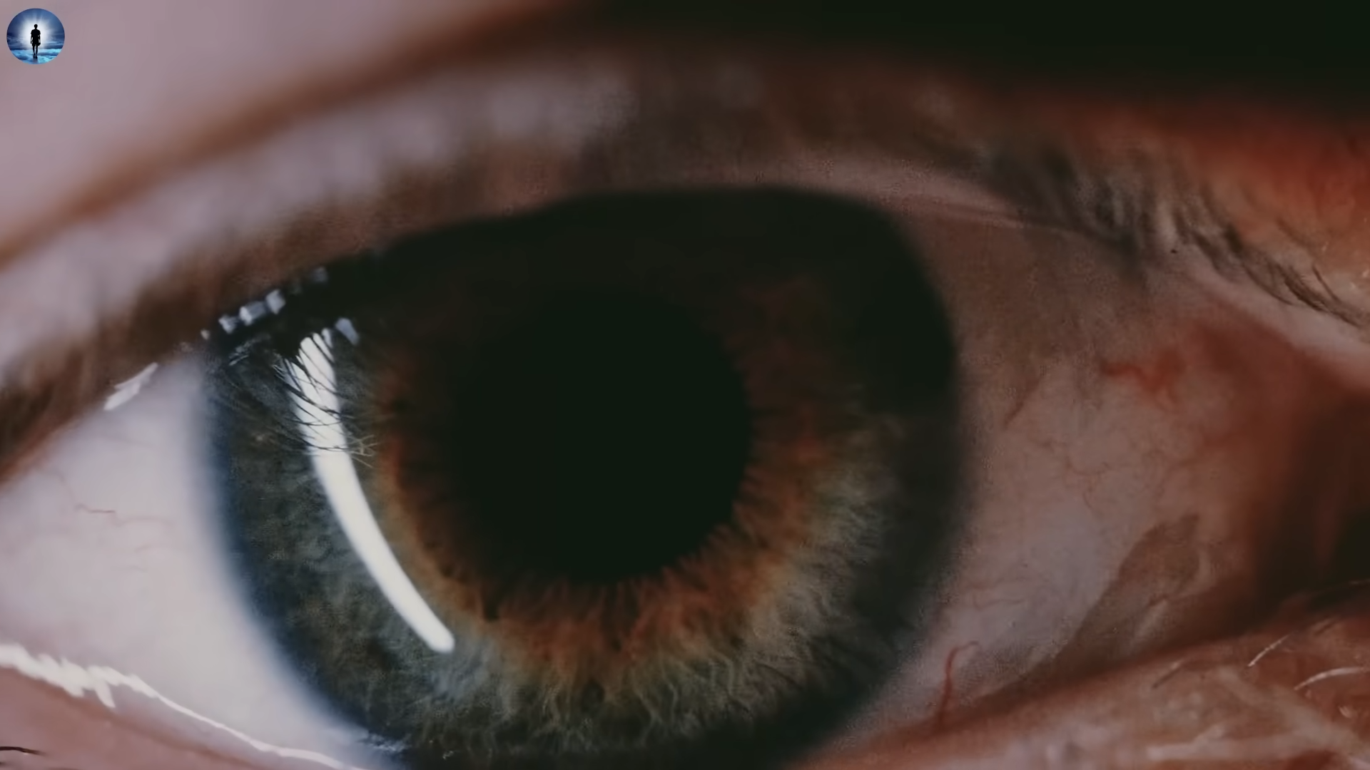 What a Near-Death Experience Taught One Man About the Matrix
