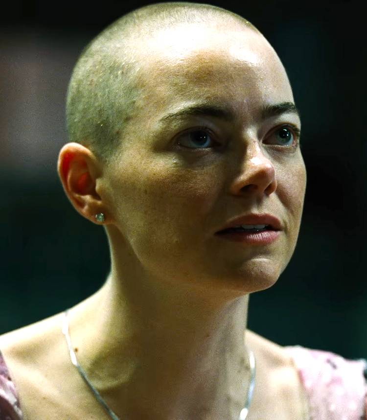 Bugonia Writer Explains Why Teddy's Theories Were Right In Movie's Ending