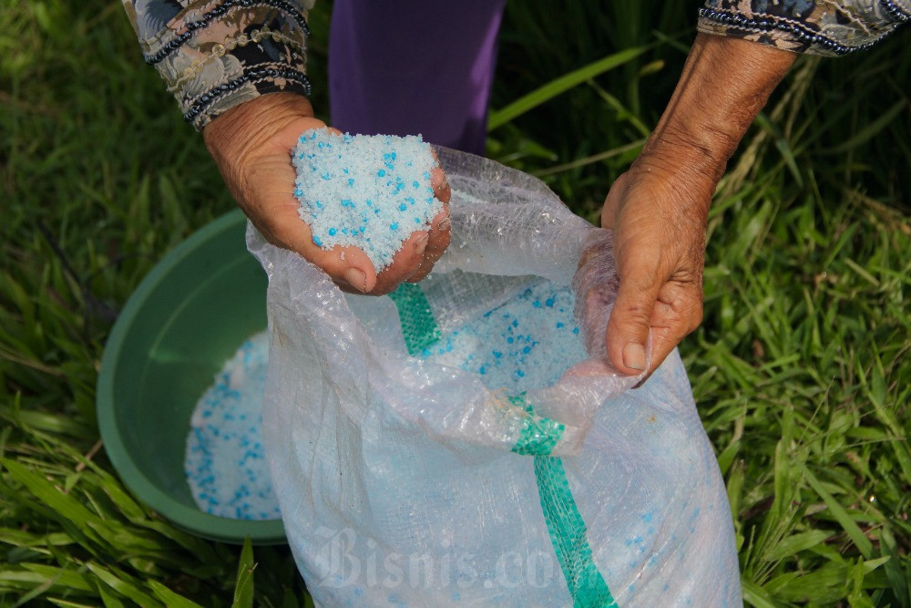 Kanal Whatsapp 'Lapor Pak Amran' Siap Terima Aduan Pelanggaran HET ...