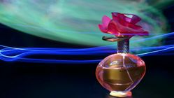 Parfum Alami untuk Kesehatan: Mekanisme Ilmiah Bunga Aromaterapi dalam ...