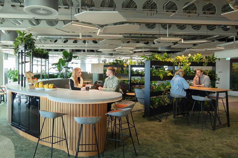 Engineering consultancy Cundall begins 50th anniversary celebrations