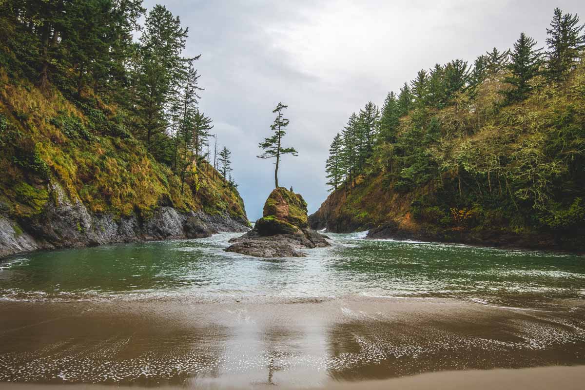 6 Scenic Washington Parks With Forest and Ocean Views You Can’t Miss