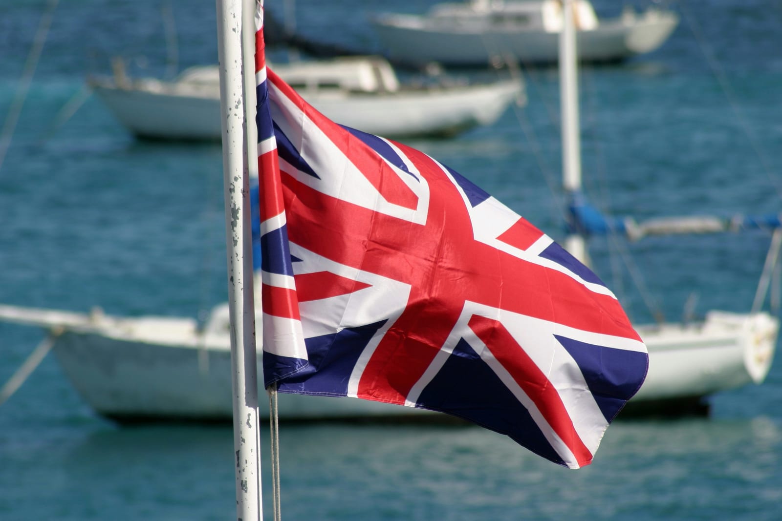 Reform UK Vows to Purge 'Woke Whitehall' in Trump-Style Shake-Up ...