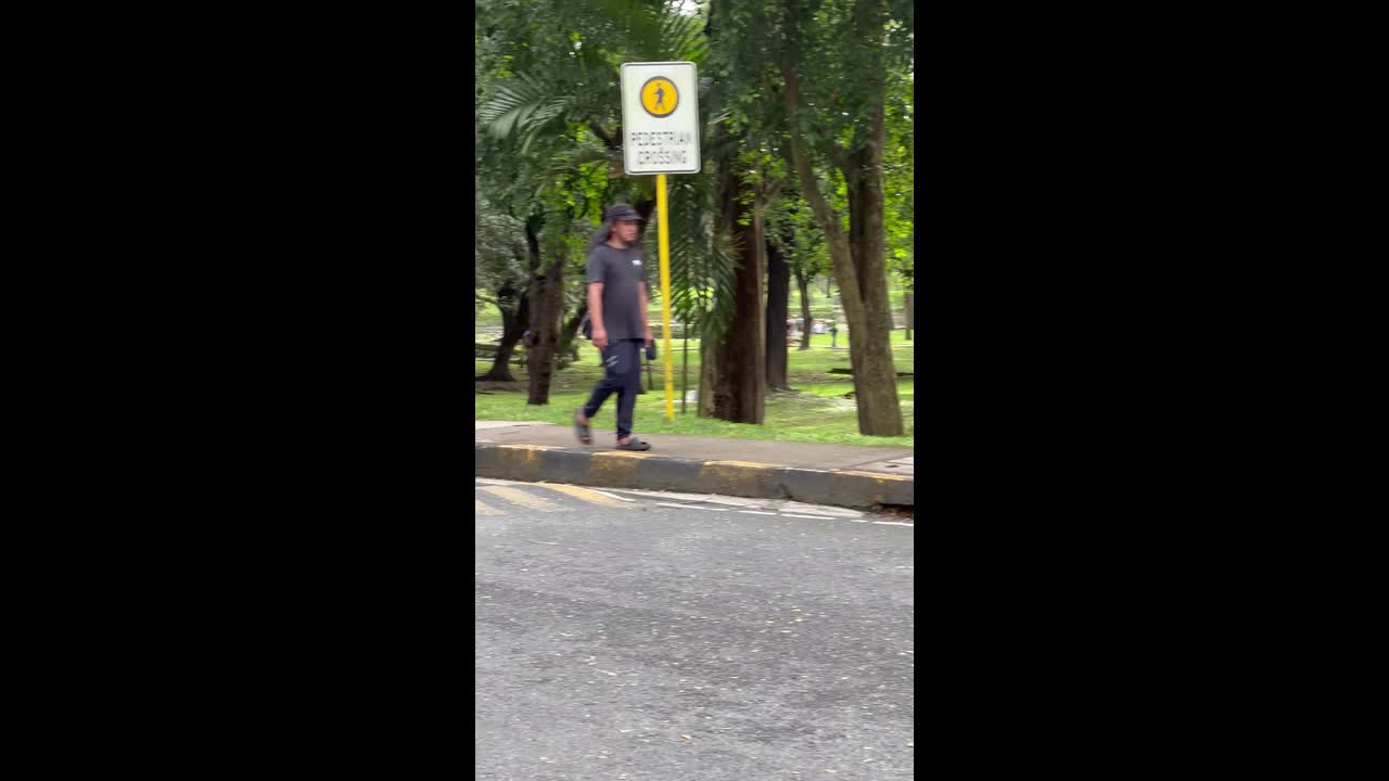 Pedestrians drive their remote controlled cars across pavements and ...