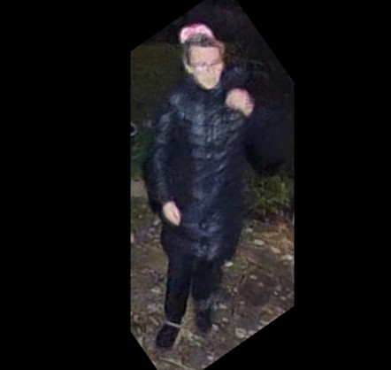 Hunt for distraction burglars after woman in 90s duped and has purse stolen