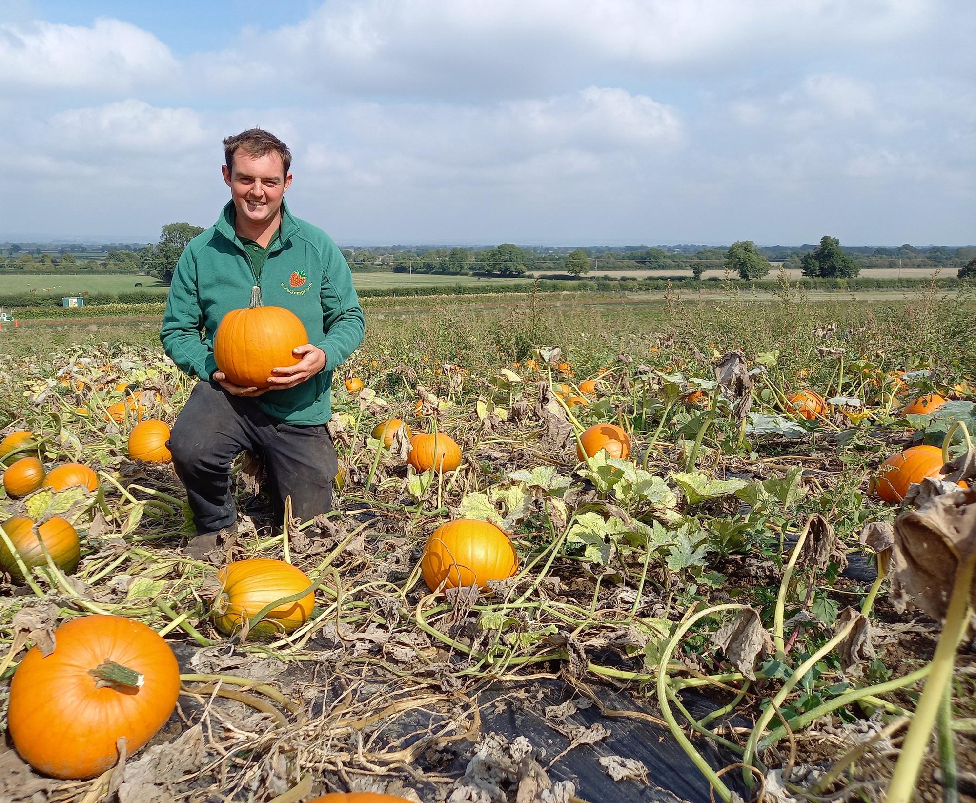 Thousands head to Yorkshire pumpkin fields for Halloween fun and ...