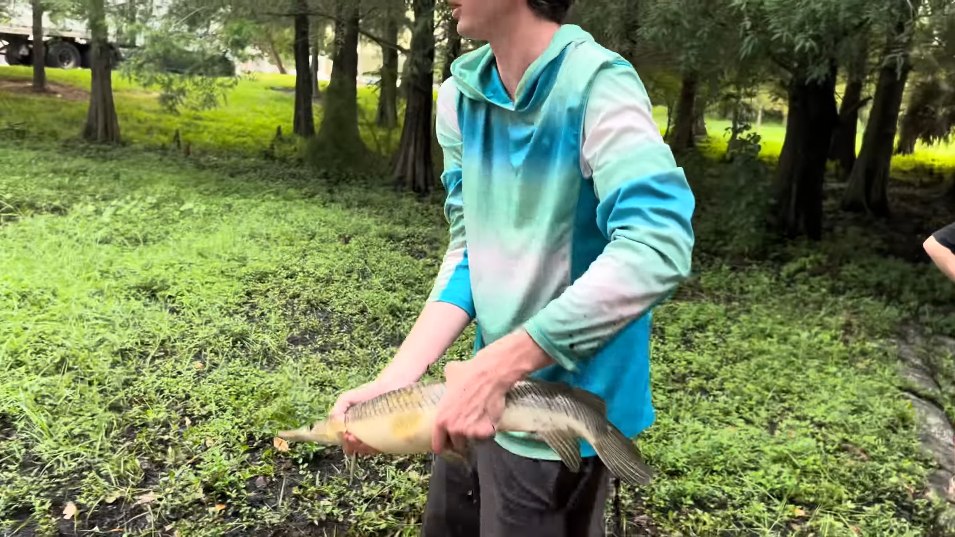 Catching prehistoric dinosaur fish in the sewer