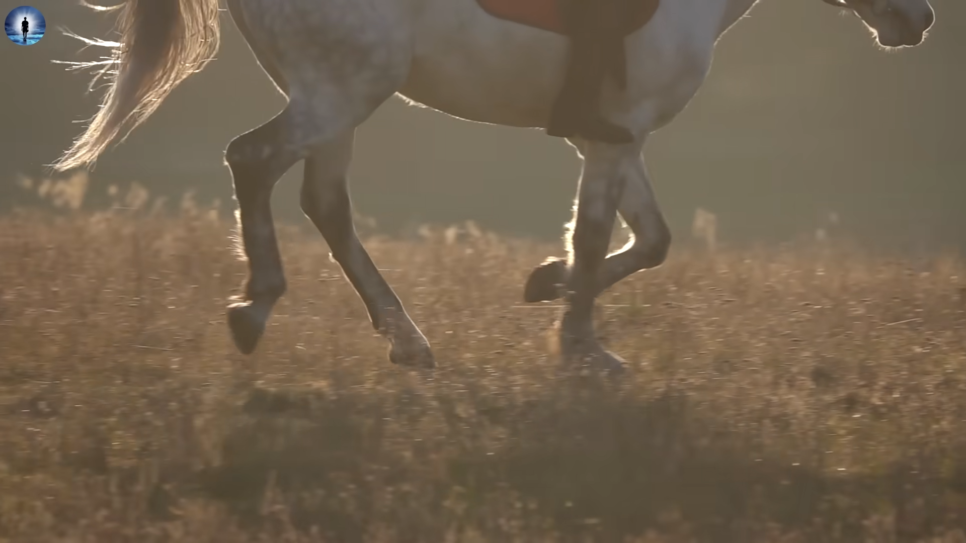 This Woman Died Horseback Riding and Saw the Afterlife