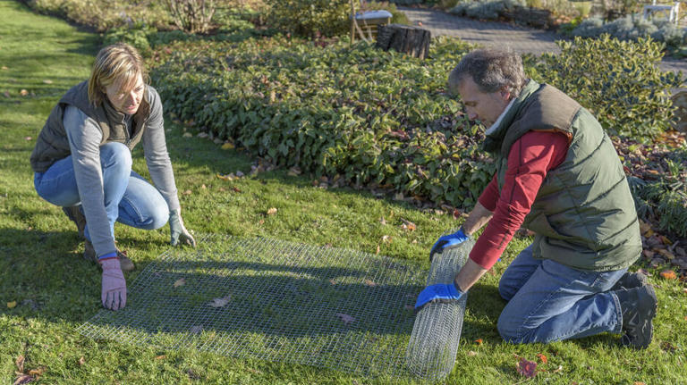 Laubkorb aus Maschendraht selber bauen