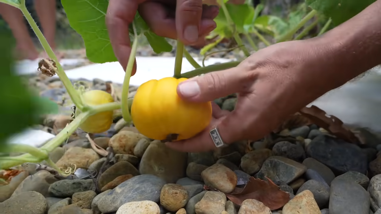 What life is really like inside an Australian commune