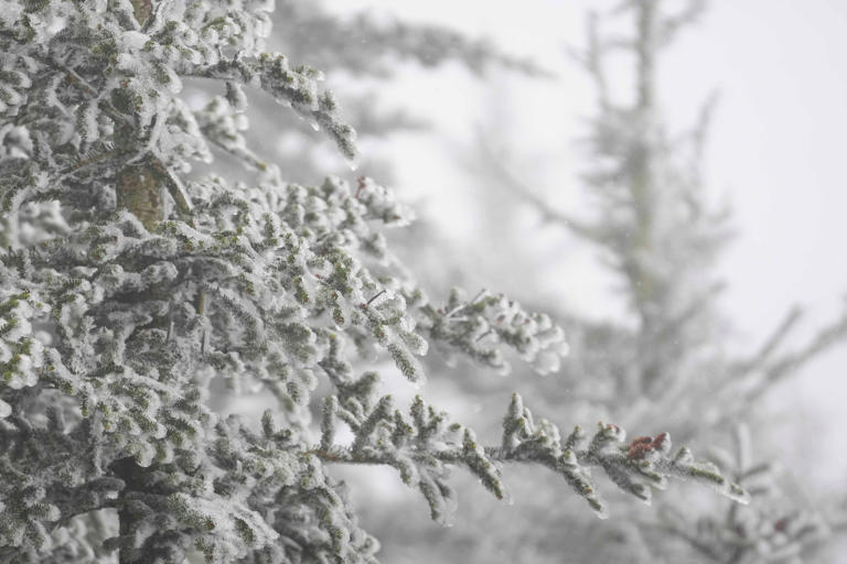 Newfound Gap Road reopens through Great Smoky Mountains National Park