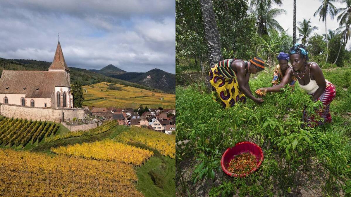 The world's most unique farms