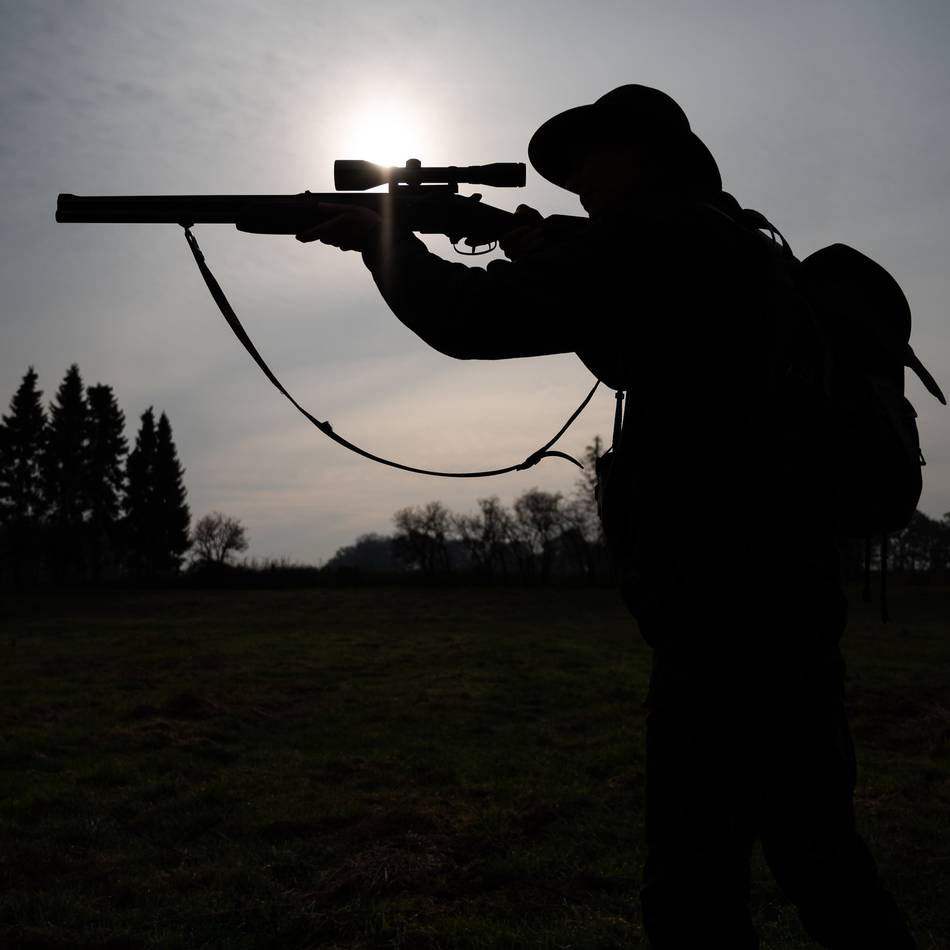 Jäger erschießt versehentlich Pferd in Neuss