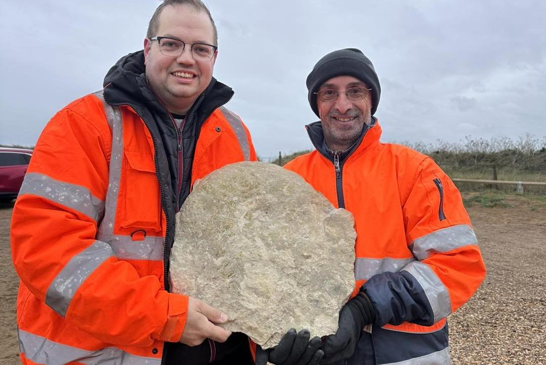 Peterborough Palaeontologists uncover giant 99 million year old fossil ...