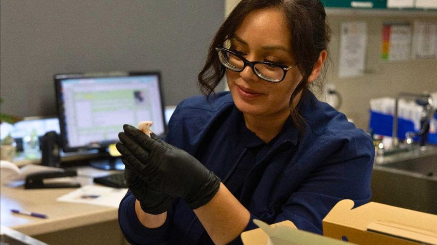 California animal shelter rescues nearly 100 small pets from single home