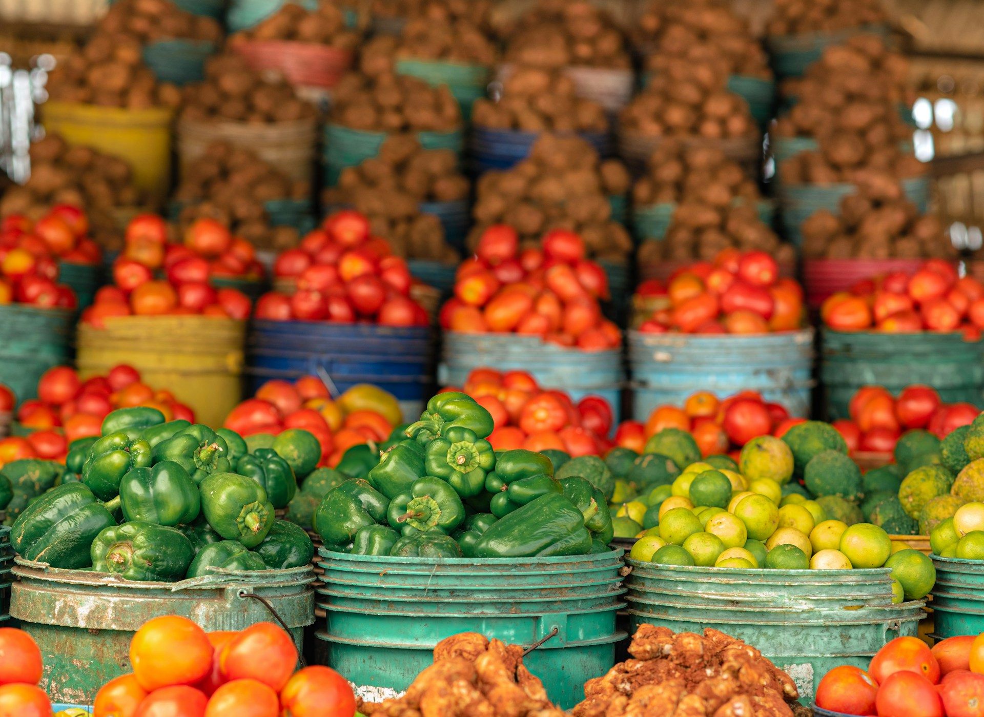 Complex Processes Behind Global Food Exports
