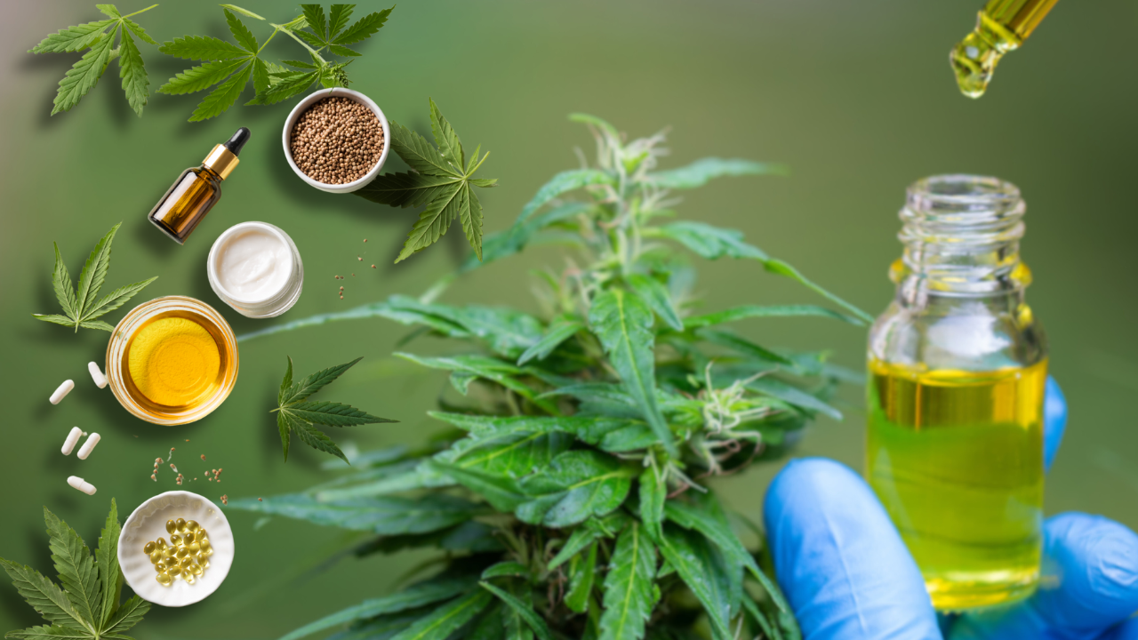 Teens Who Use Cannabis Are At Higher Risk Of Mental And Physical Health ...