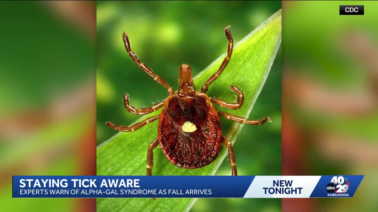 Alpha-gal syndrome diagnoses in Arkansas: prompting tick awareness