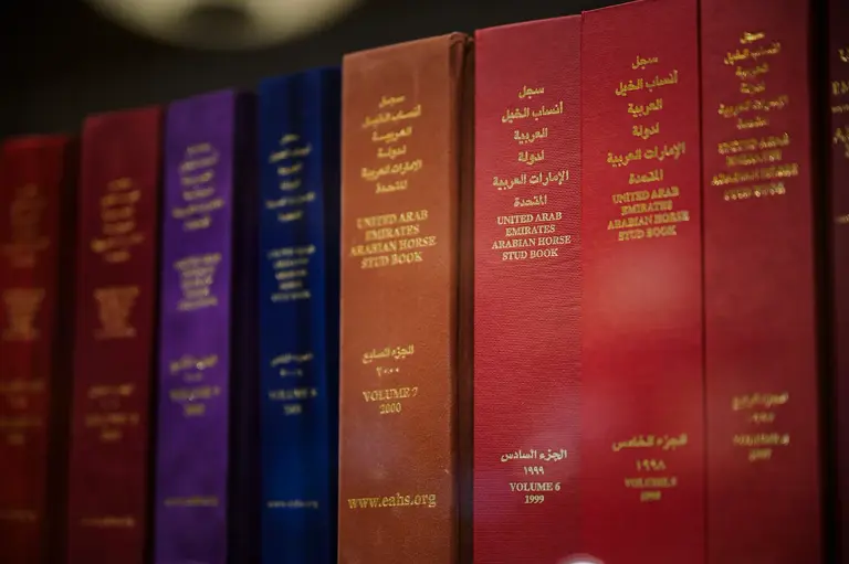 UAE's dancing horses: Inside Abu Dhabi Royal Equestrian Arts, where ...