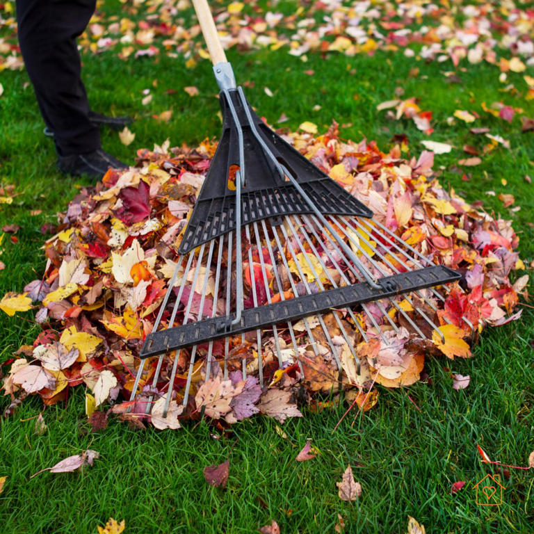 Landscaping checklist: What to accomplish during the fall