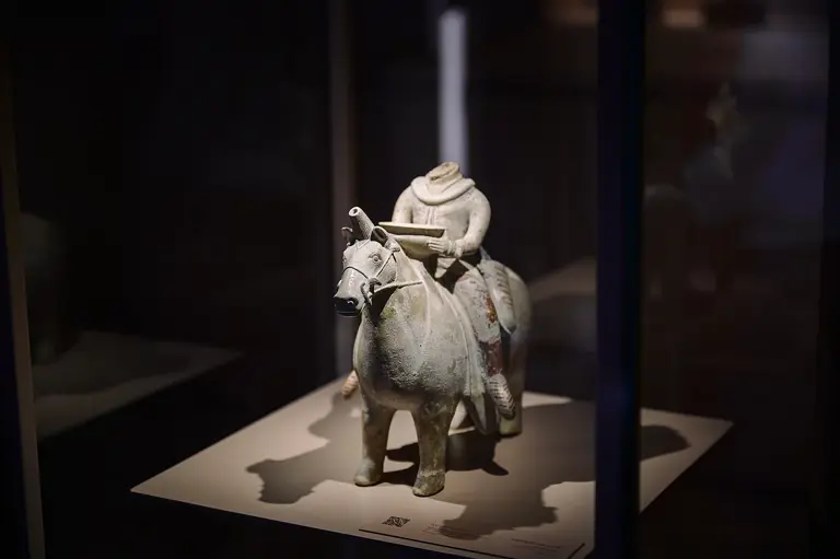 UAE's dancing horses: Inside Abu Dhabi Royal Equestrian Arts, where ...