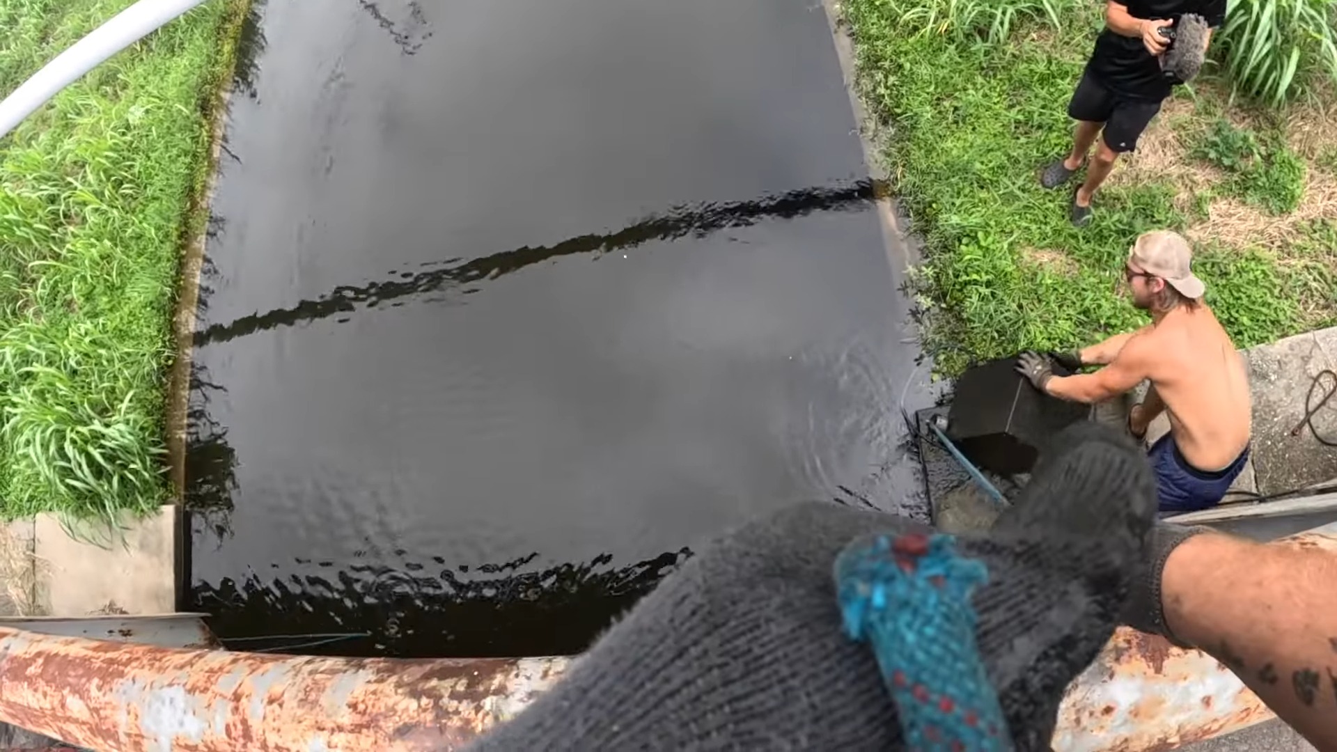 This magnet fishing trip had it all: cars, chaos, and carnivores