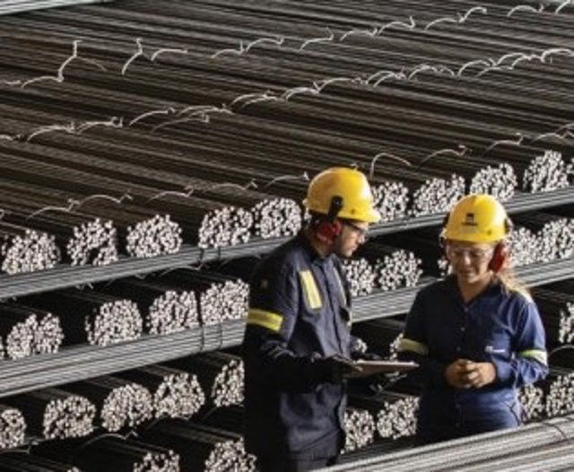 La acerera brasileña Gerdau recorta un 25,1% su beneficio hasta ...