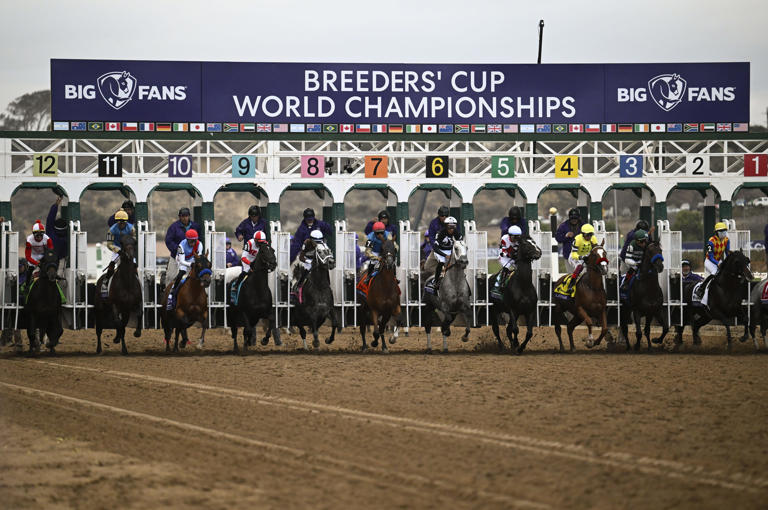 What to know about 2025 Breeders' Cup races Oct. 31-Nov. 1: Post times ...