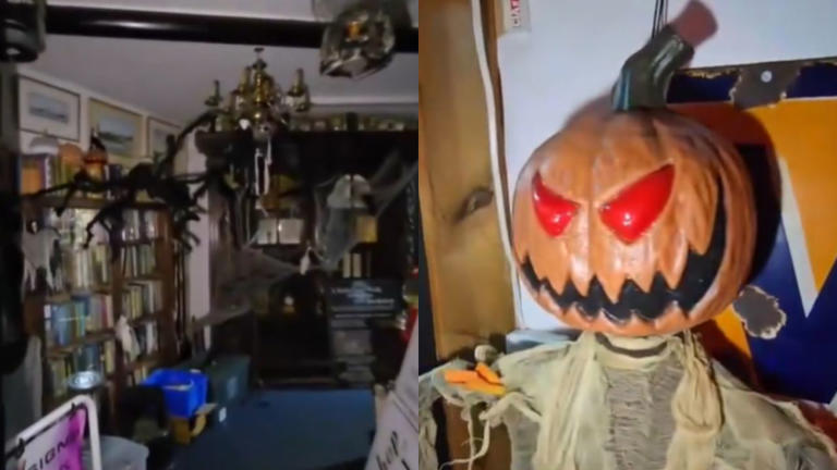 Explore Petersfield Bookshop’s spine-chilling Halloween walk featuring ...