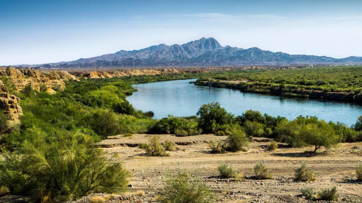 Hidden gem vacation homes