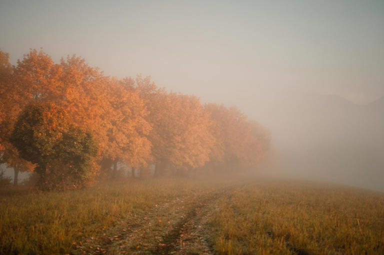 Météo : du brouillard et des températures douce pour le weekend du 11 ...