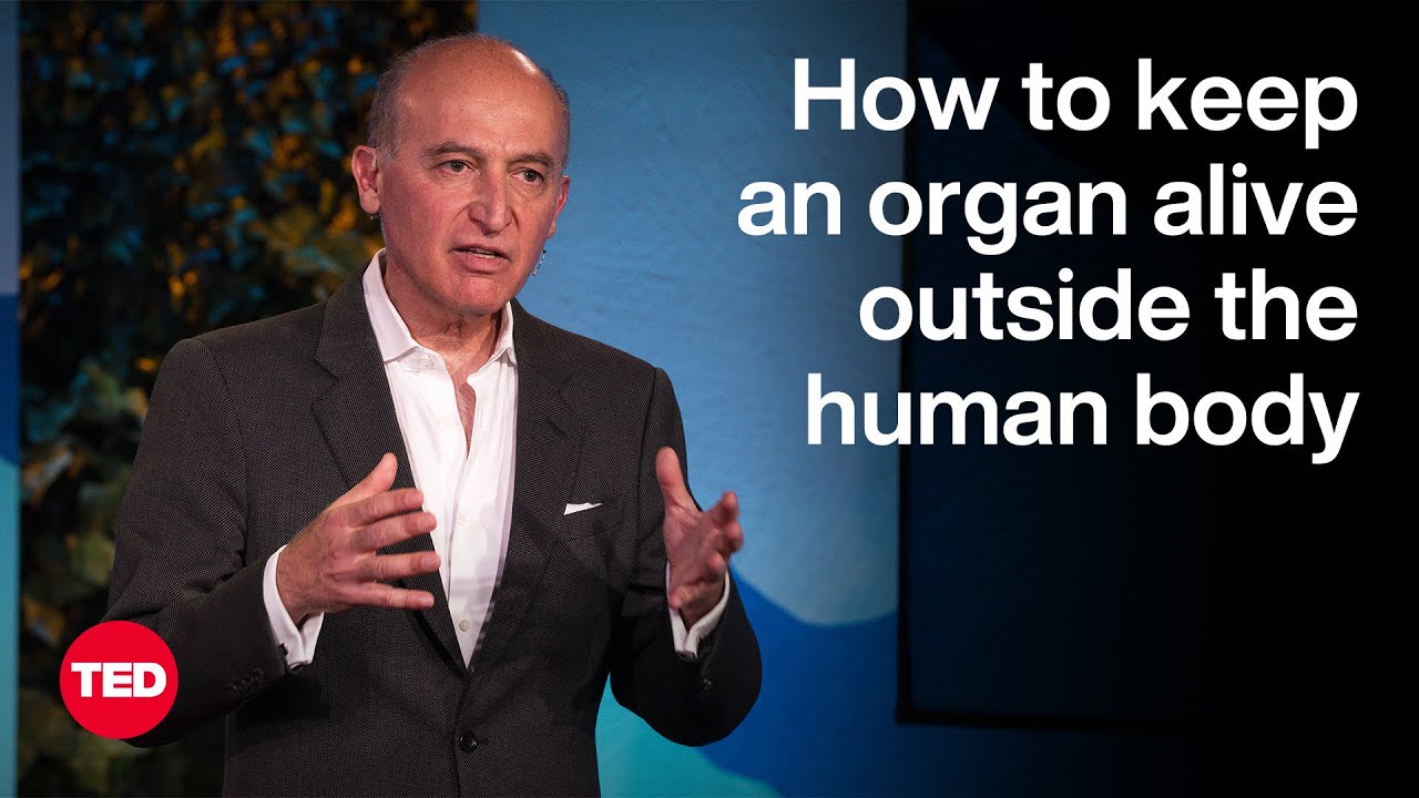 What If Donor Organs Could Stay Alive Outside the Body?