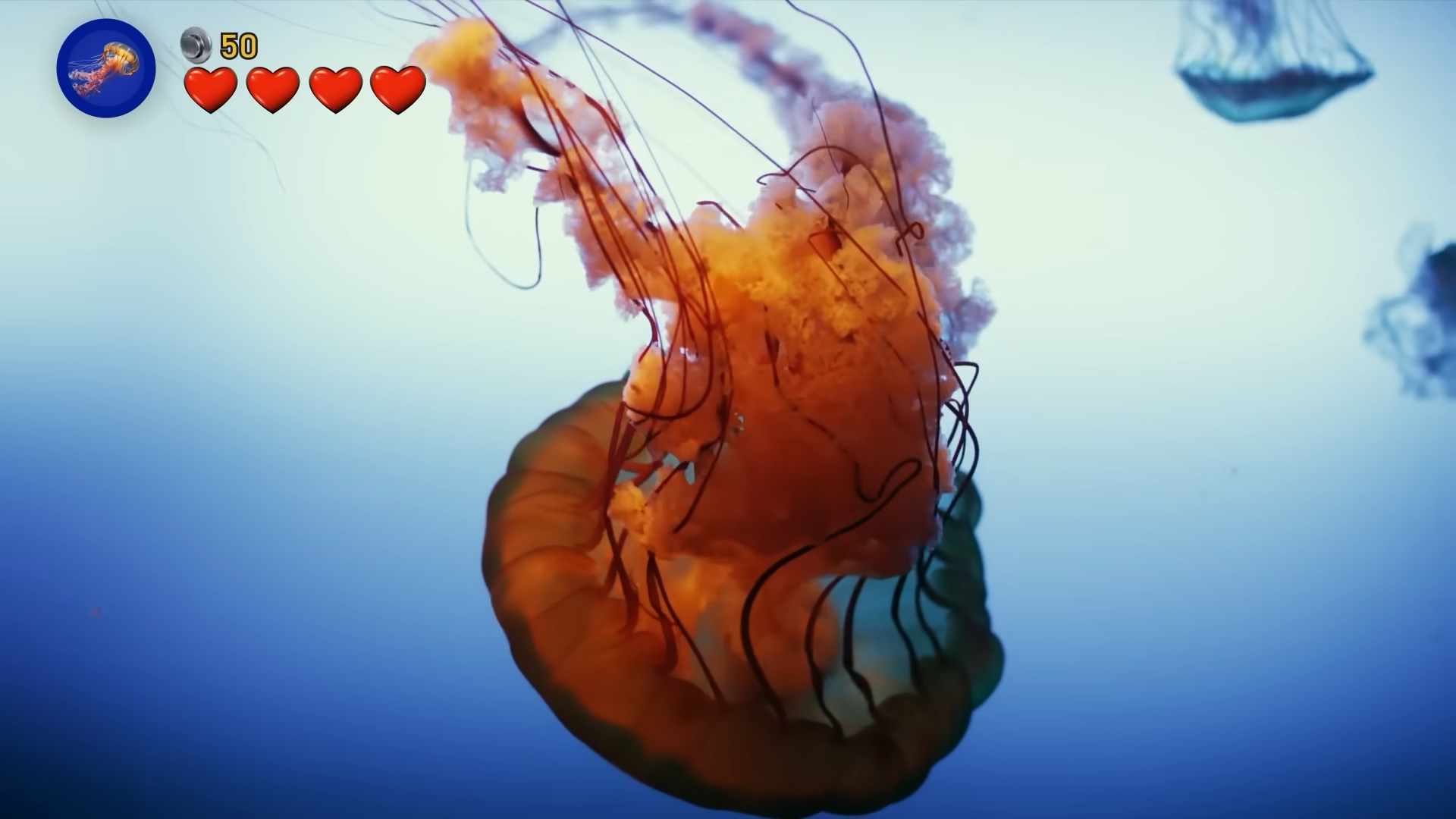 Which Jellyfish Is the Strongest? The Ultimate Ocean Tier List