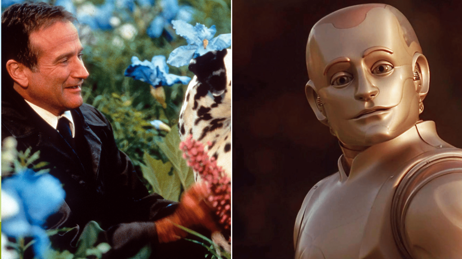 The Many Faces of Robin Williams on Screen
