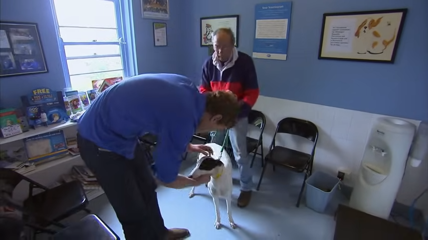 How a rescue dog’s unexplained illness touched hearts