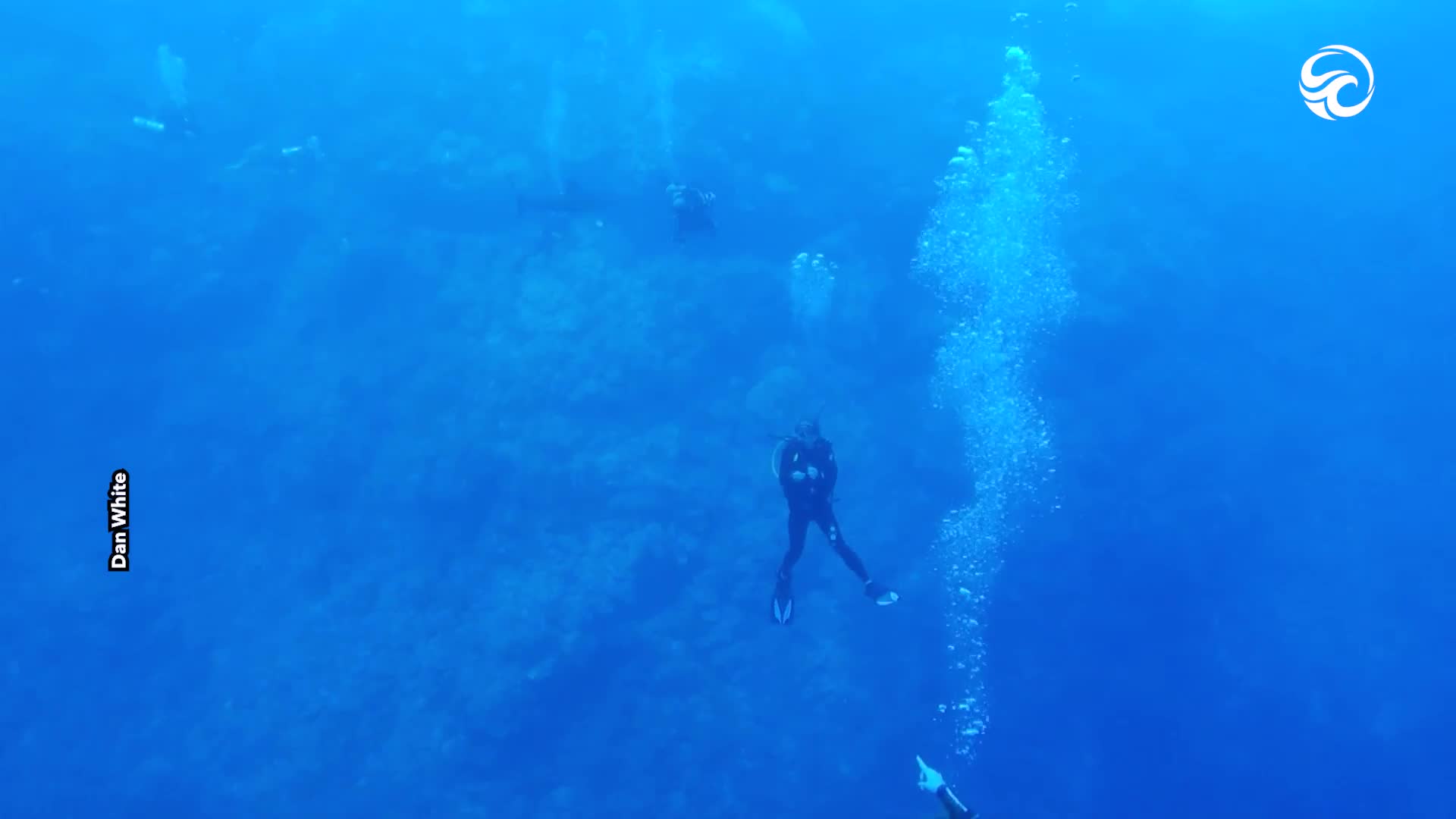 Shark attack caught on camera