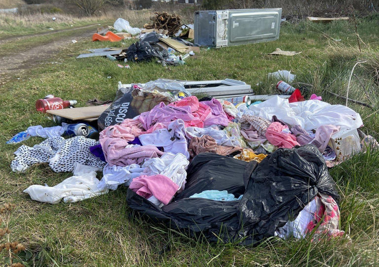 Hartlepool Borough Council 'names and shames' people convicted of fly ...