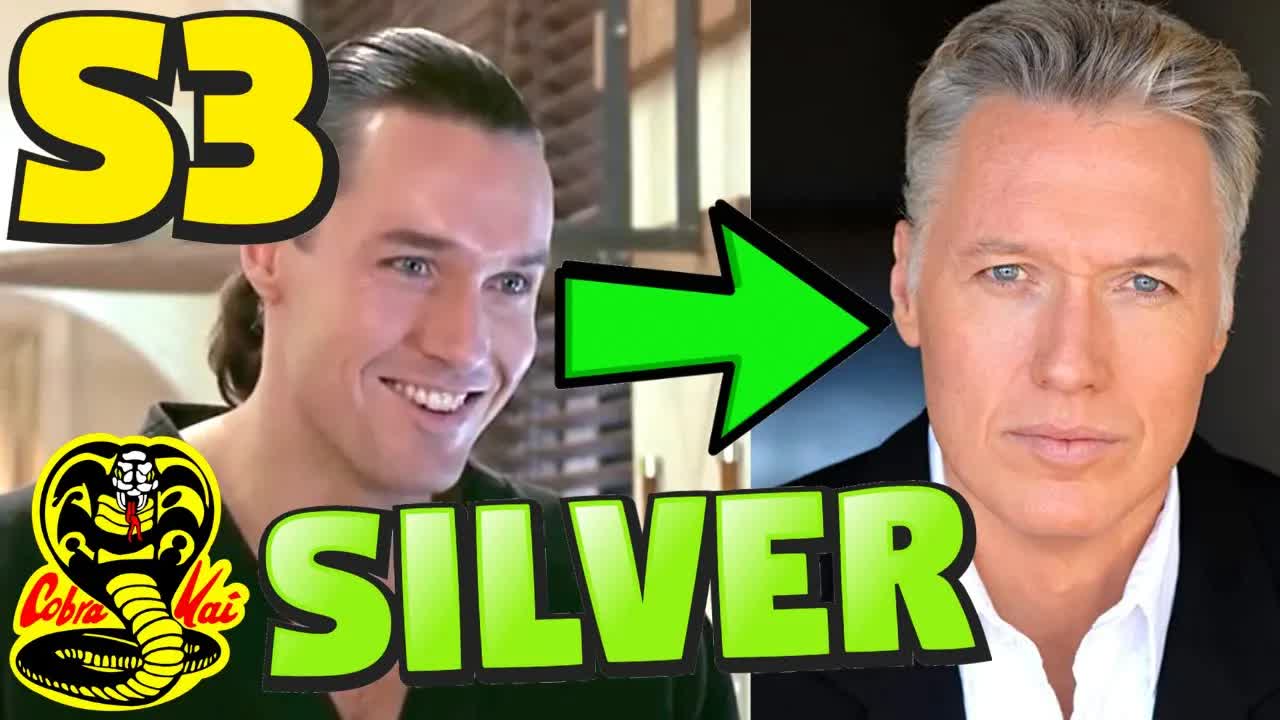 Will Terry Silver be in Cobra Kai season 3? (Final theory)