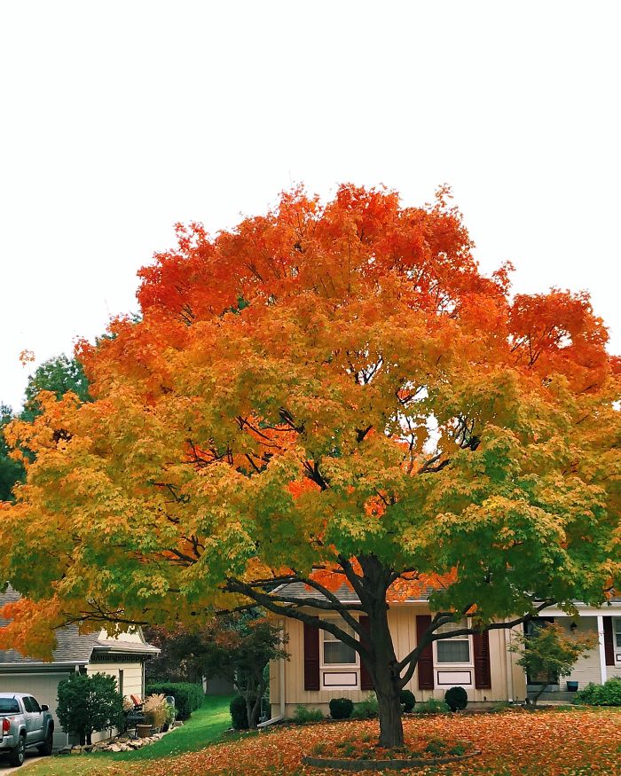 48 Oddly Satisfying Things To Soothe Our Perfectionist Souls