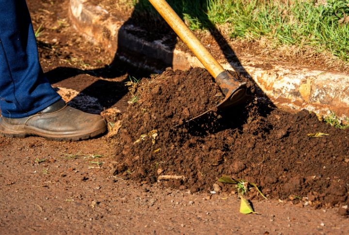 The Secrets To Successful Grass Seed Germination