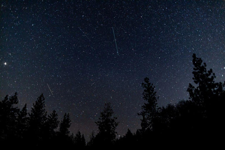 Taurids meteor shower: Where and when to see light show peak this November