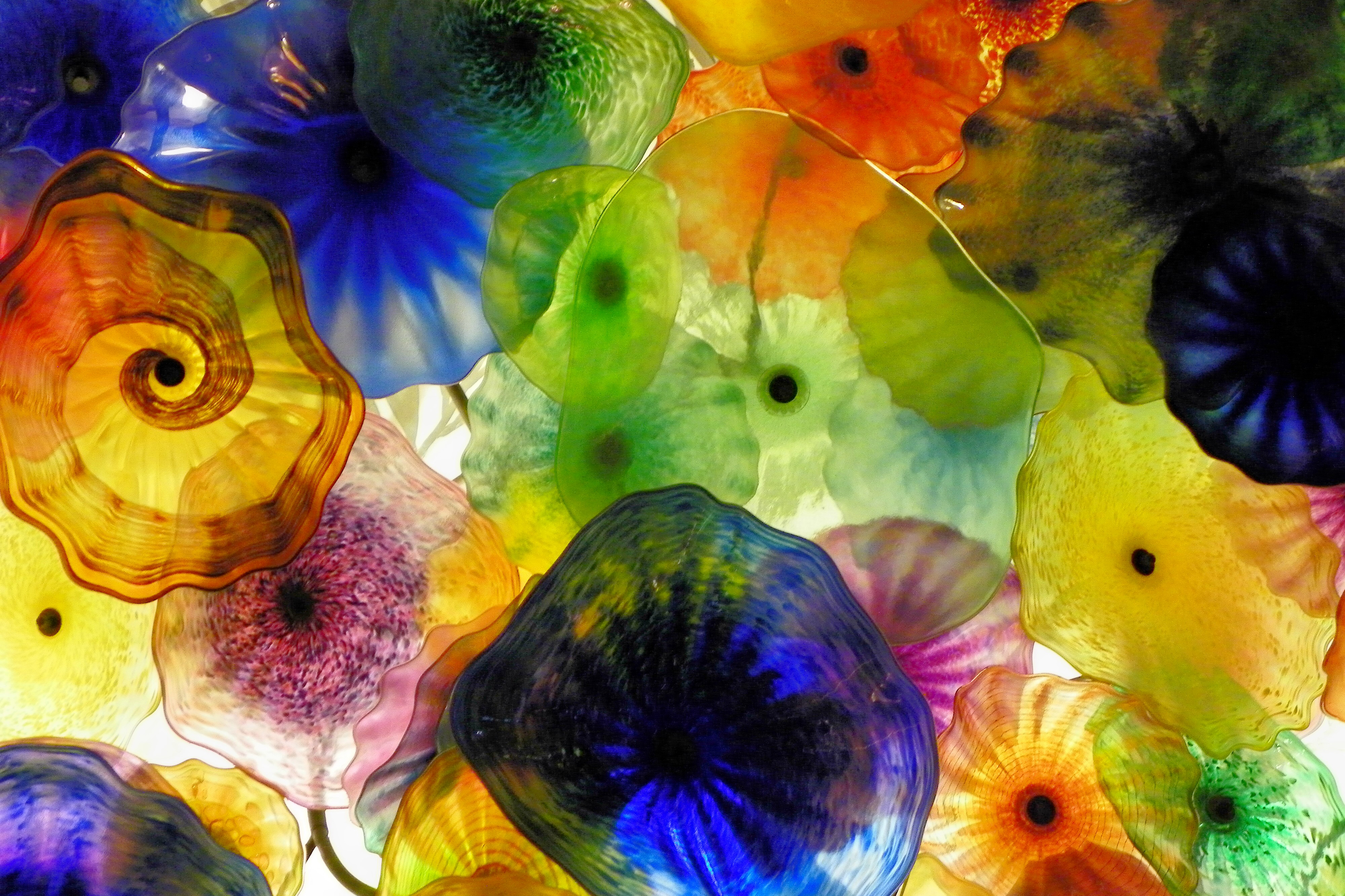These 15 Gorgeous Photographs Capture the Beautiful Art of Blown and ...