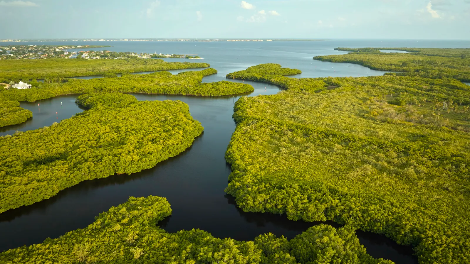 Florida destinations too beautiful to miss