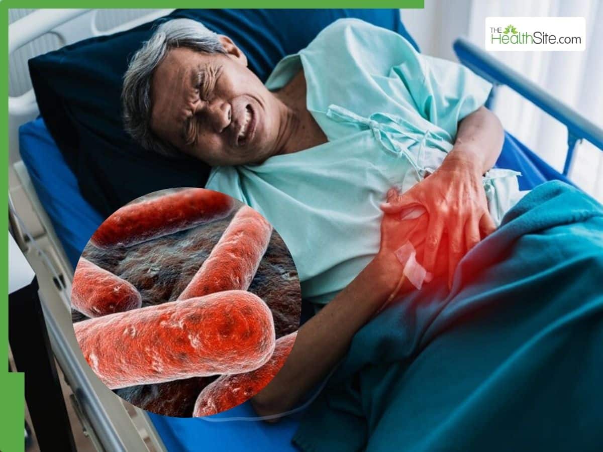 E.Coli Can Spread Faster Than Swine Flu, New Study Reveals Bacterium's ...