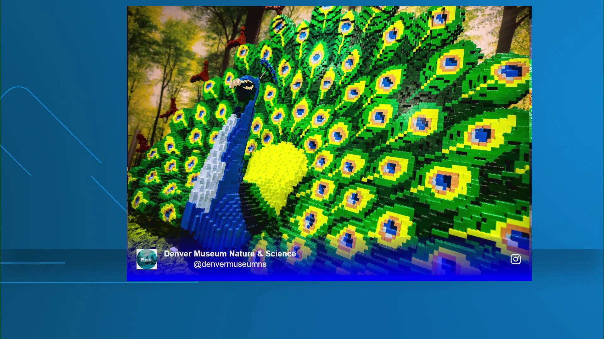 Denver Museum of Nature and Science opening Lego exhibit next week